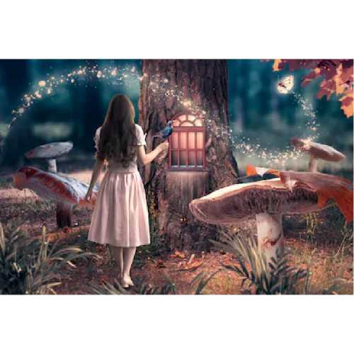 Enchanted Forest Poster for Kids| Wall Art | Dubaiprint.com